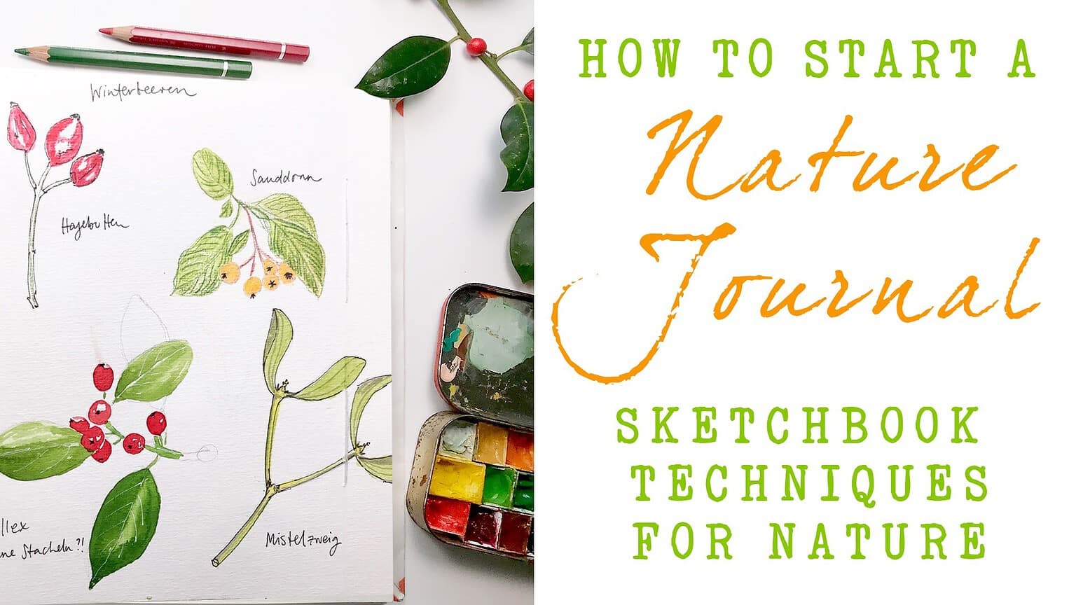 How To Start A Nature Journal - Sketchbook Techniques For Nature - New ...