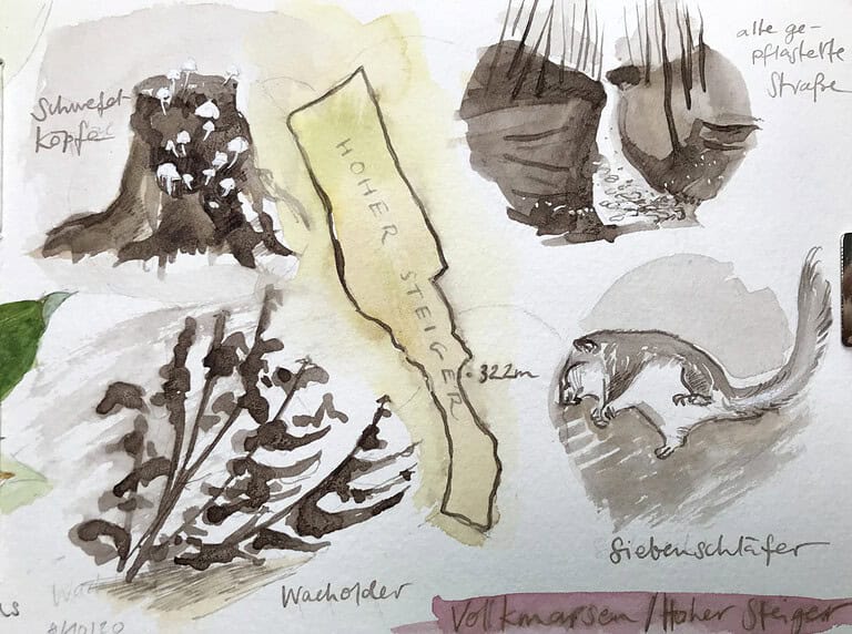 How to make walnut ink | Julia Bausenhardt