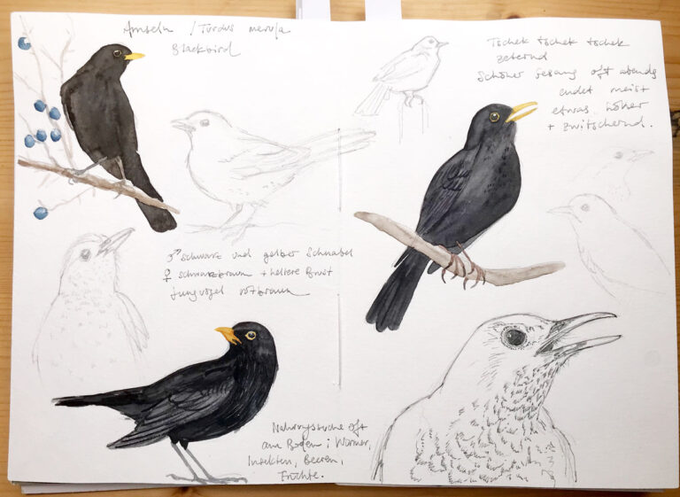 Layout ideas for sketchbook pages | Julia Bausenhardt