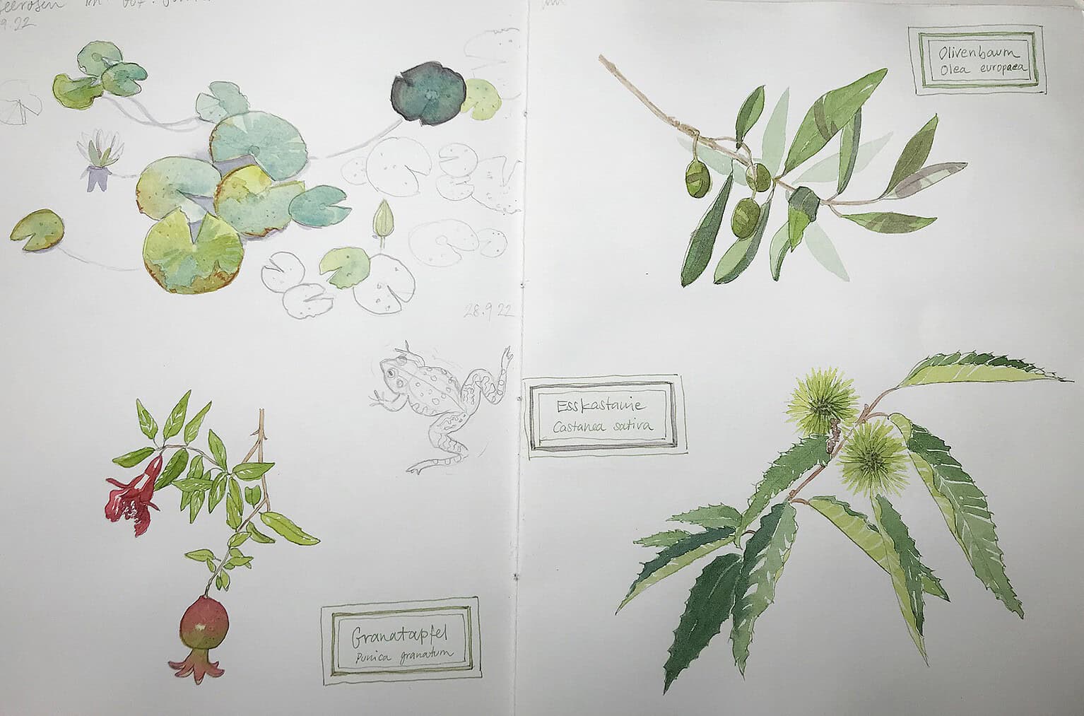 4 easy tips for your sketchbook practice | how to keep sketching ...