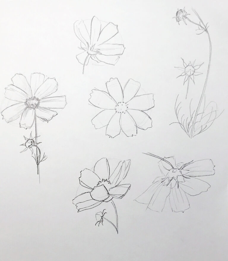 How to draw anything - learn sketching for beginners | Julia Bausenhardt