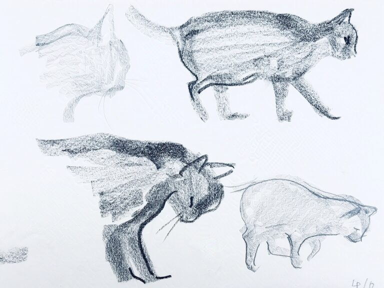 Exploring new drawing tools + simplification with shapes | Julia ...